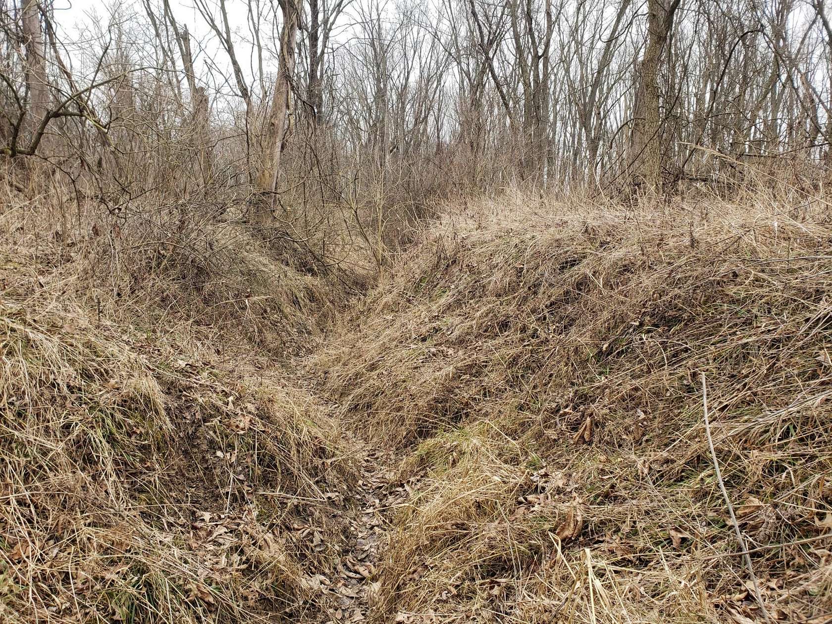 43 Acres of Recreational Land for Sale in Cory, Indiana - LandSearch