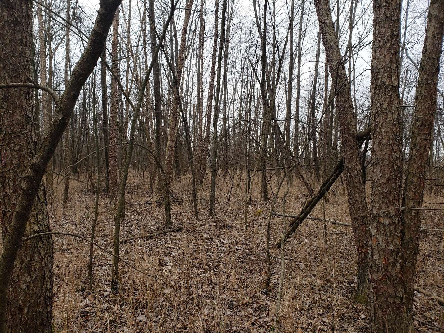 43 Acres of Recreational Land for Sale in Cory, Indiana - LandSearch