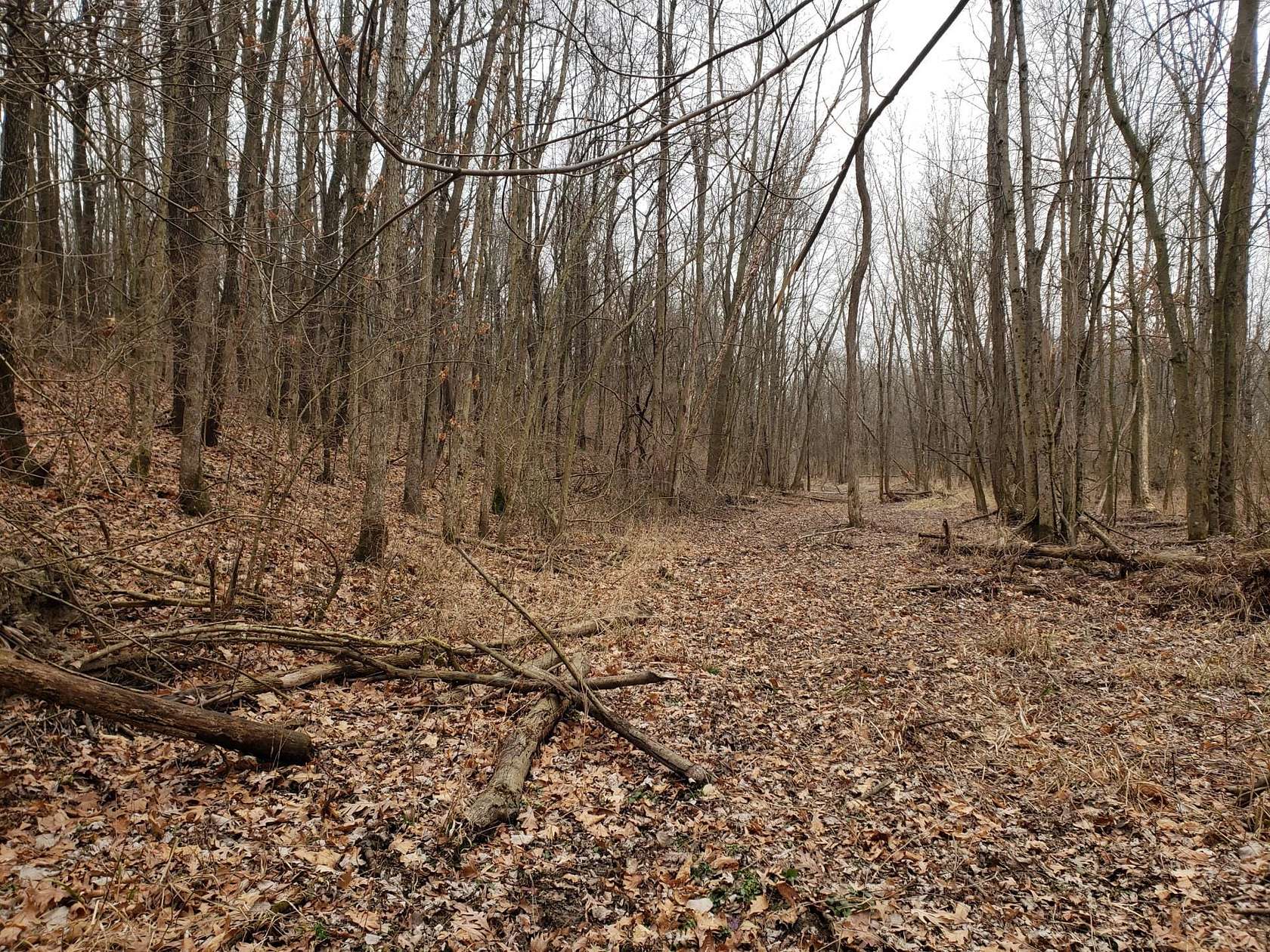 43 Acres of Recreational Land for Sale in Cory, Indiana - LandSearch