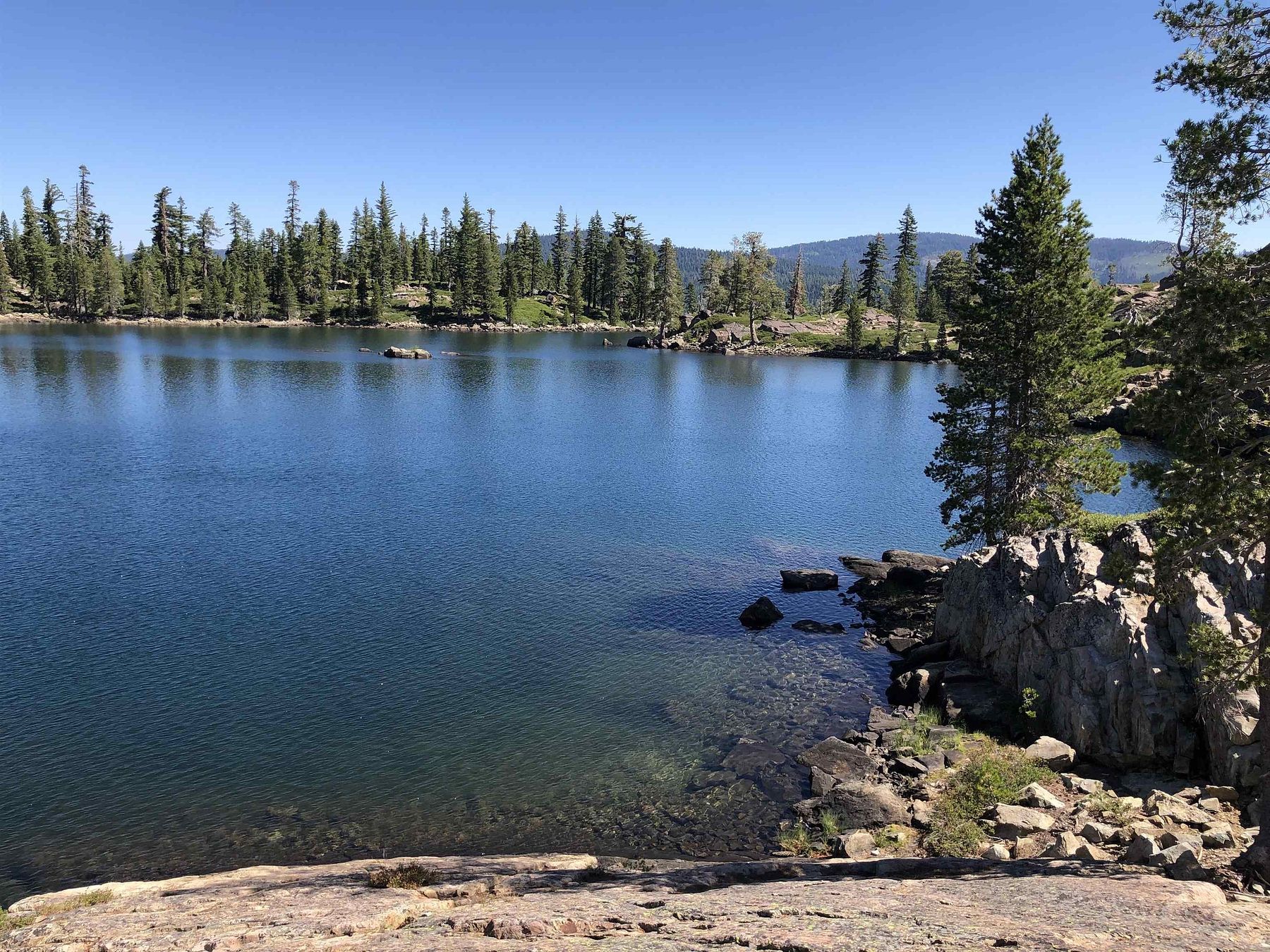 80 Acres of Land for Sale in Sierra City, California - LandSearch