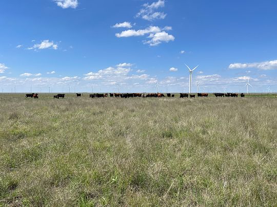 Texas Panhandle Land for Sale - 1,040 Properties - LandSearch