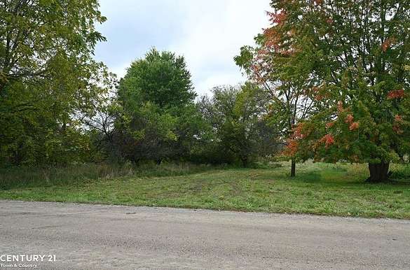 67 89 Acres Of Land For Sale In Morrice Michigan Landsearch