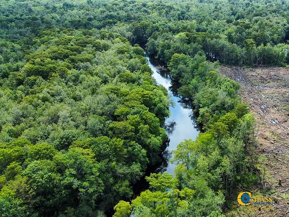 517 Acres of Recreational Land for Sale in Orrum, North Carolina ...