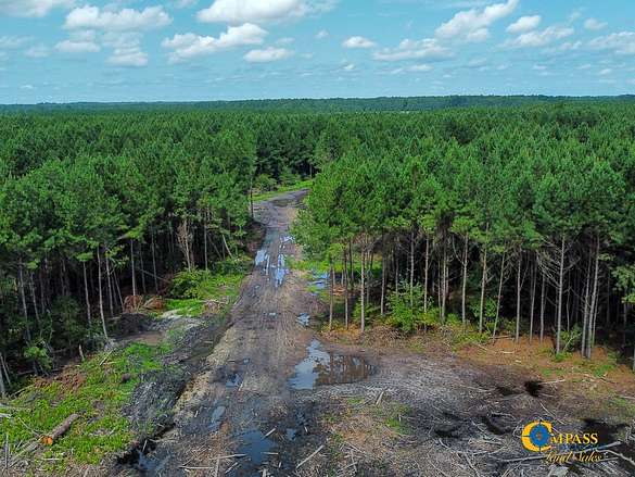 517 Acres of Recreational Land for Sale in Orrum, North Carolina ...