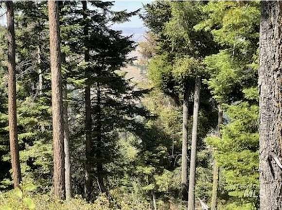 40 Acres of Recreational Land for Sale in Waha, Idaho - LandSearch