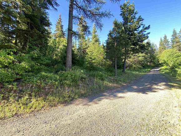 40 Acres of Recreational Land for Sale in Waha, Idaho - LandSearch