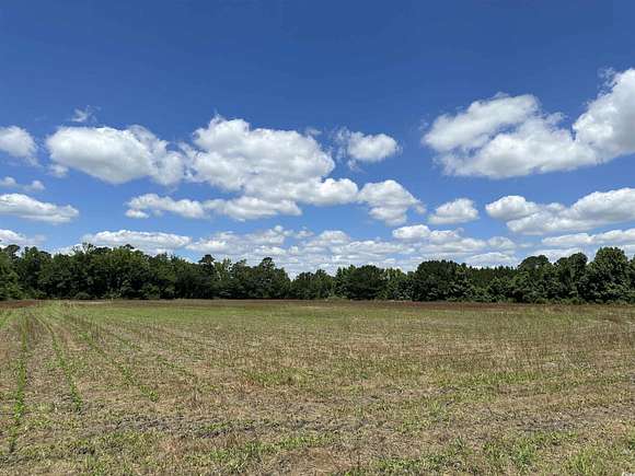 64 Acres of Recreational Land for Sale in Greeleyville, South Carolina ...