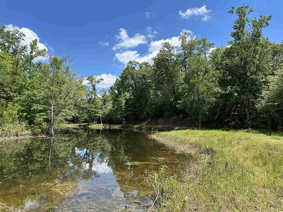 64 Acres of Recreational Land for Sale in Greeleyville, South Carolina ...