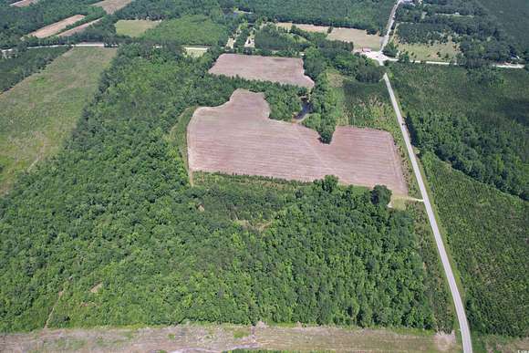 64 Acres of Recreational Land for Sale in Greeleyville, South Carolina ...