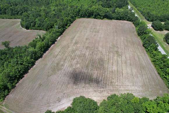 64 Acres of Recreational Land for Sale in Greeleyville, South Carolina ...